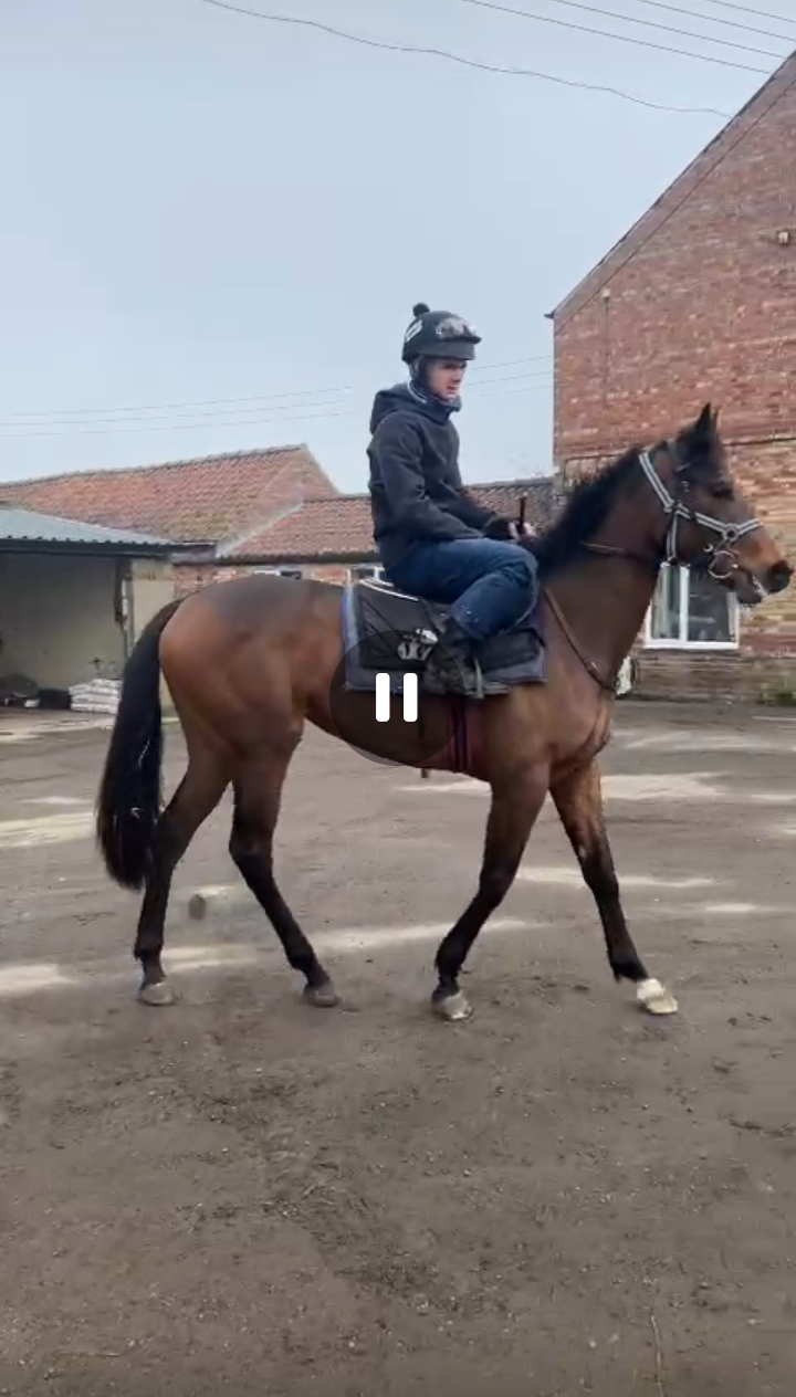 Tomlinson Racing - Racing at Thirsk - Tomlinson Horse Racing