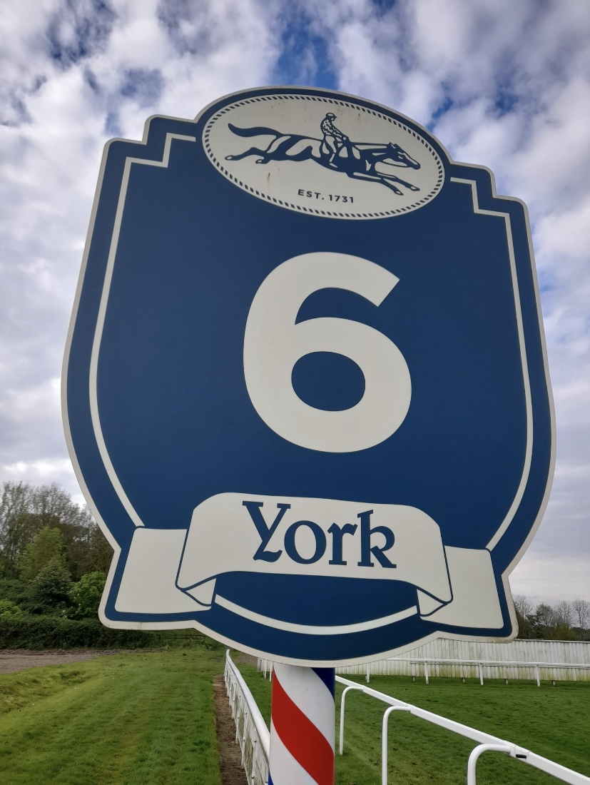 Tomlinson Racing - "Dare To Dream" - Tomlinson Horse Racing