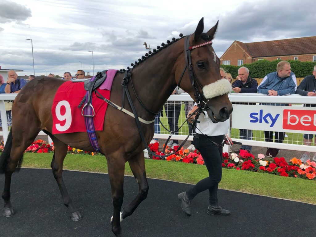 Tomlinson Horse Racing UK - Make It Your Race Day With Tomlinson Racing